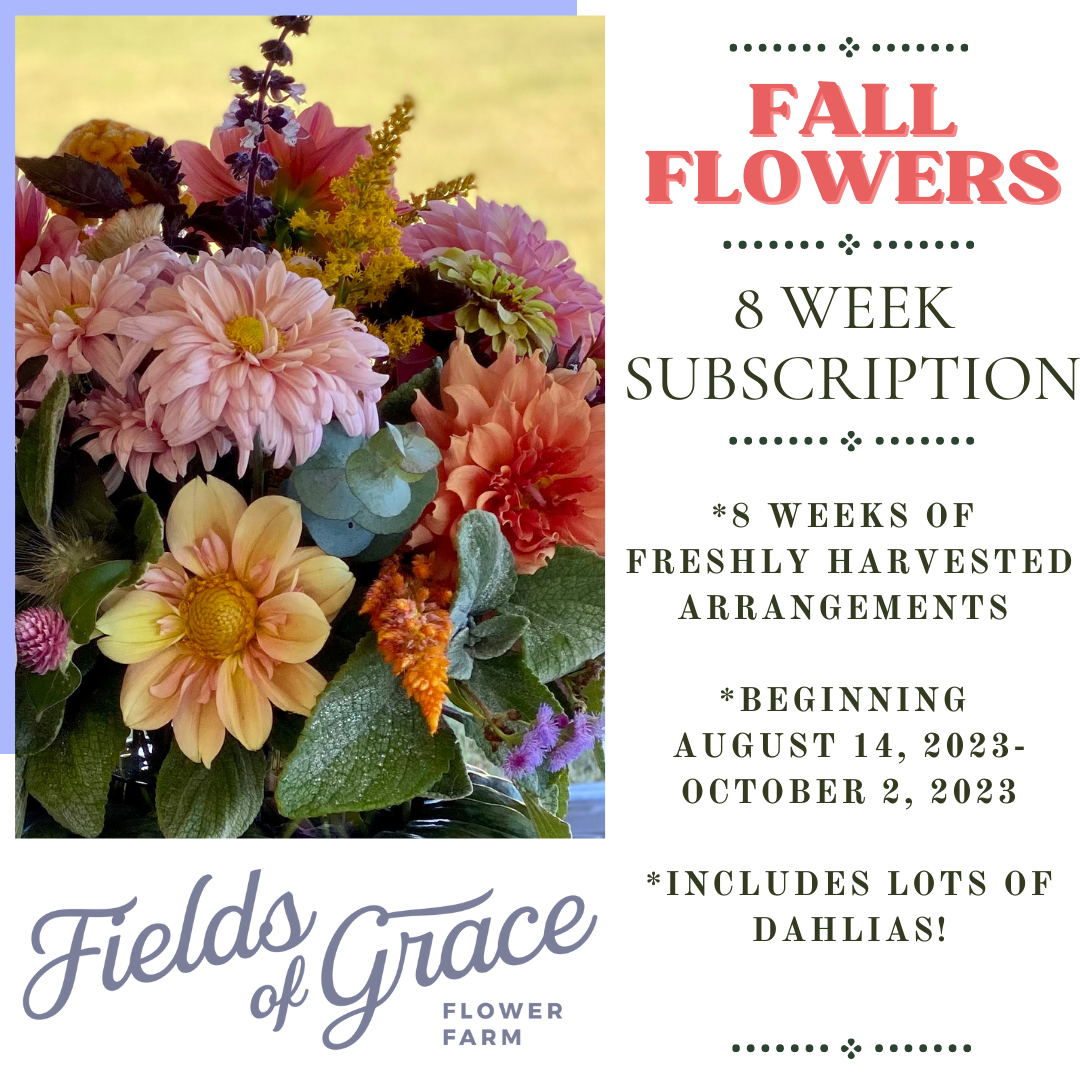 BUY FLOWERS — Fields Of Grace Flower Farm