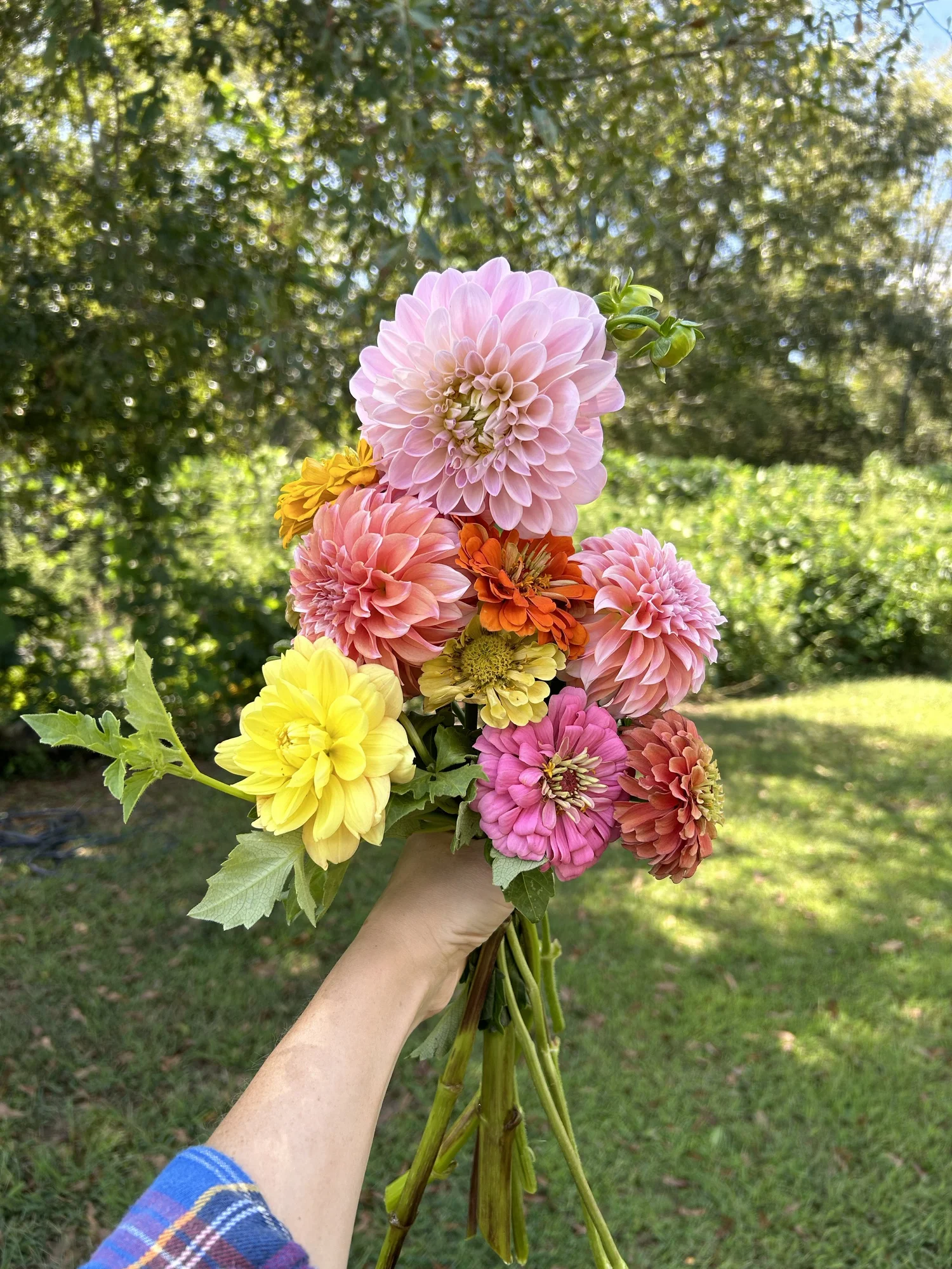 Visit the Farm — Fields Of Grace Flower Farm