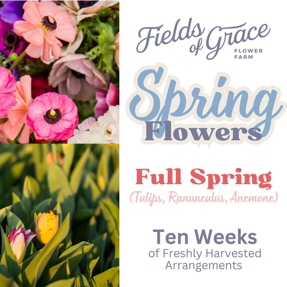 BUY FLOWERS — Fields Of Grace Flower Farm