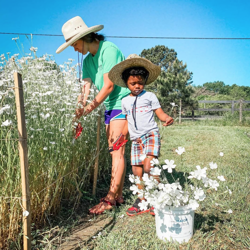 About Us | Flowers & Ministry — Fields Of Grace Flower Farm