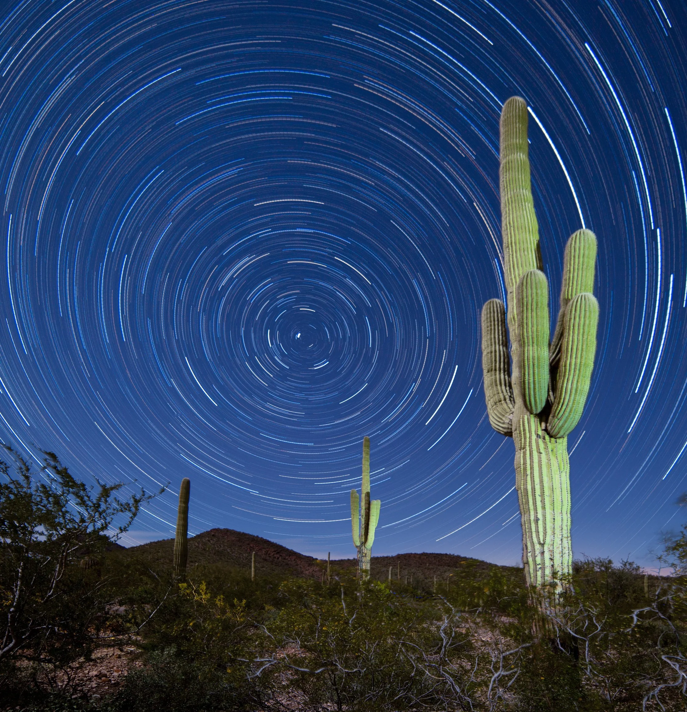 Saguaro National Park Artist in Residence Program — National Park Arts ...
