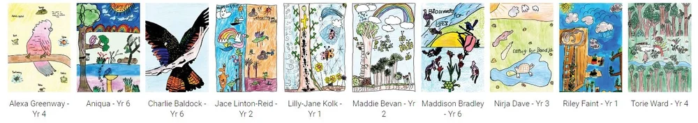 Backyard Biodiversity is coming to Weeip Park — New Junction