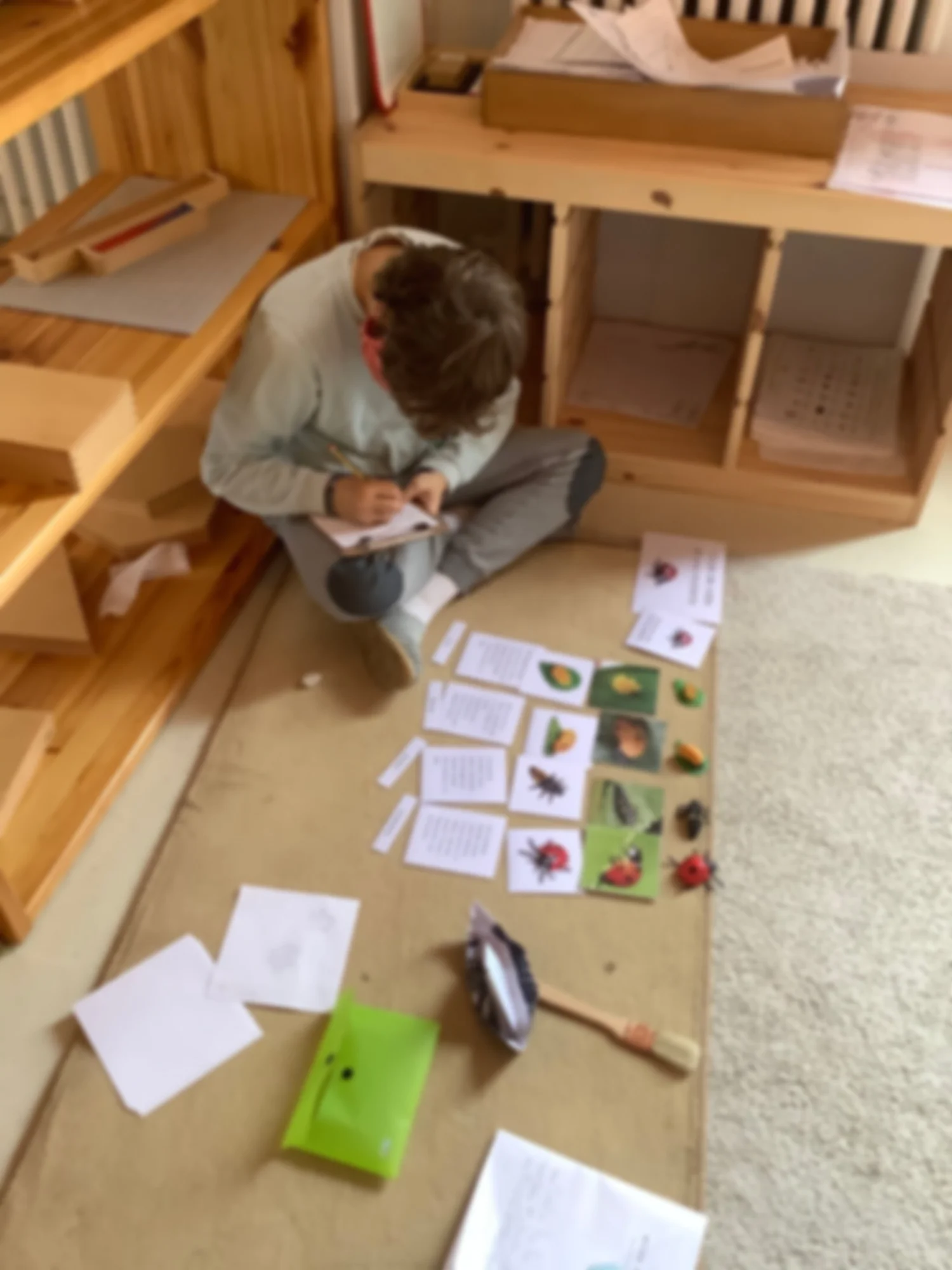 Barcelona Montessori School Disfrute de una educación Montessori de ...