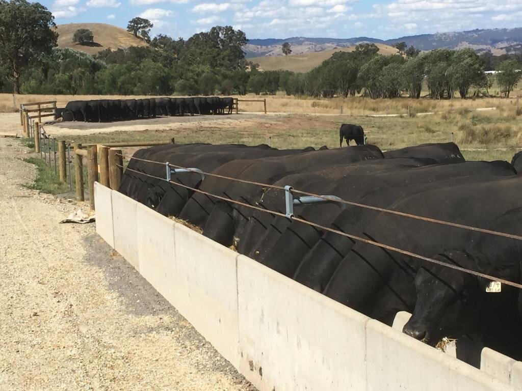 Rural — DiamondGrid™️ Australia