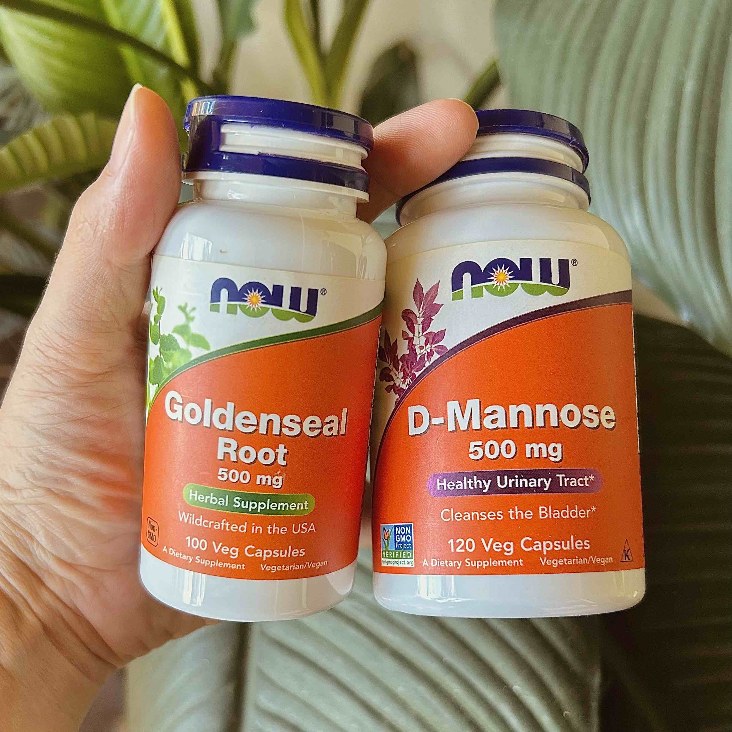 Recurrent UTIs vs. Cystitis: Causes, Remedies, and Natural Solutions ...
