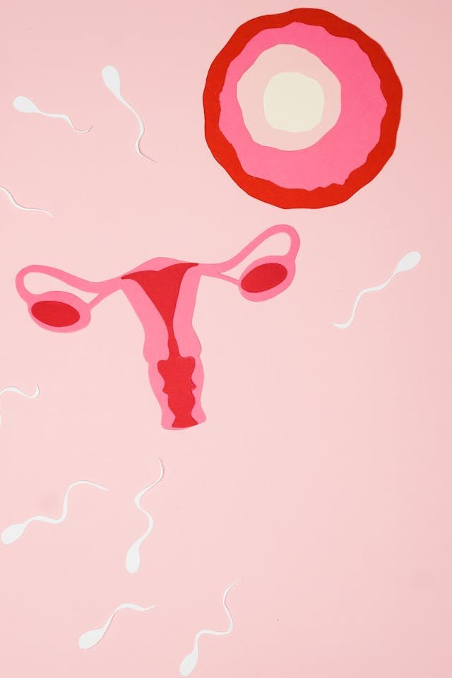 How to Choose the Right Contraceptive Method for Your Body and Life ...