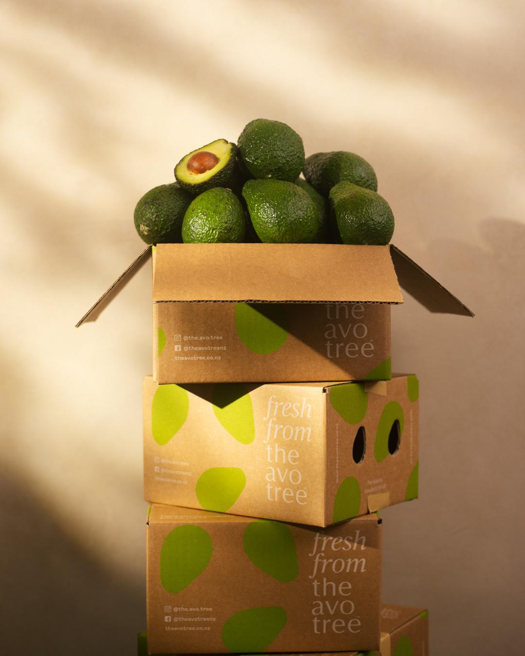 The Avo Tree Content Case Study — Academy Agency - Full Stack Marketing ...