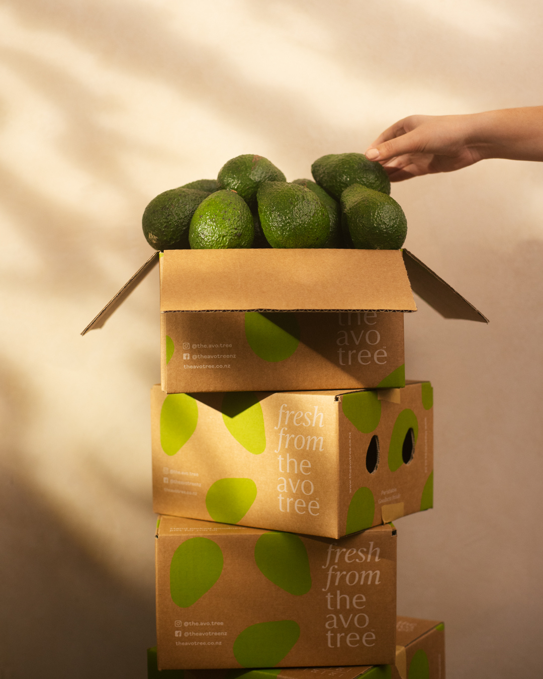 The Avo Tree Content Case Study — Academy Agency - Full Stack Marketing ...