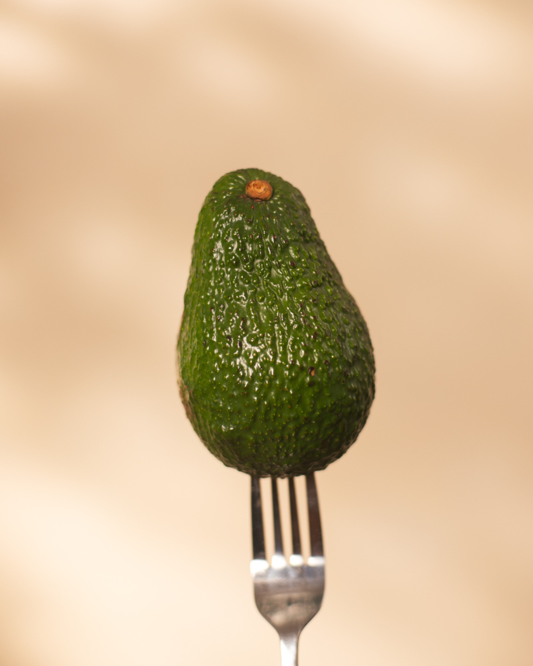 The Avo Tree Content Case Study — Academy Agency - Full Stack Marketing ...