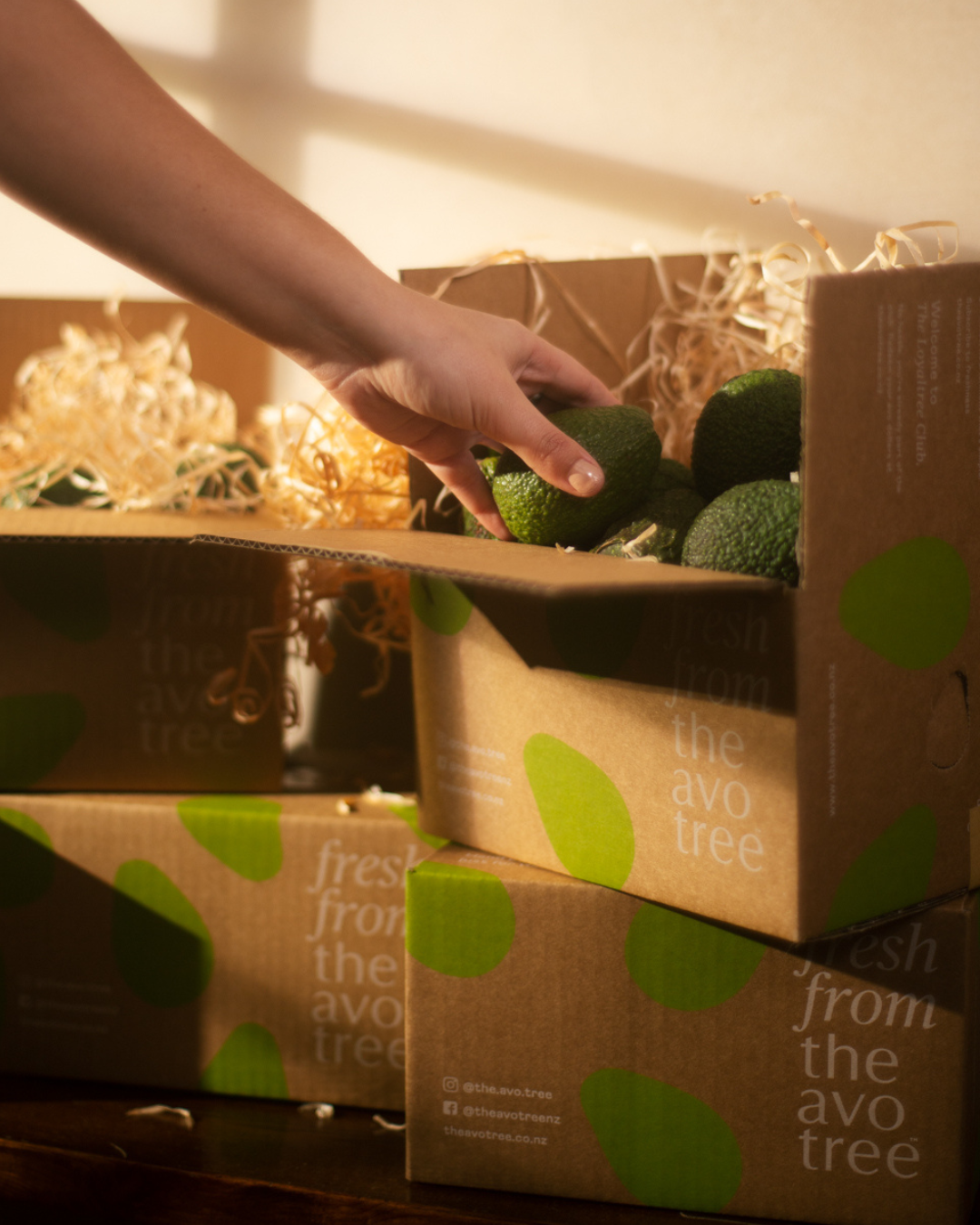 The Avo Tree Content Case Study — Academy Agency - Full Stack Marketing ...