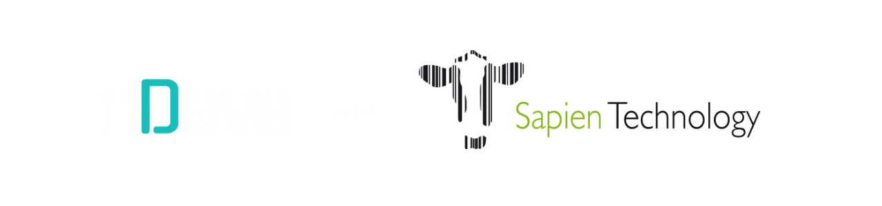 Sapien - Lead Software Engineer — nDeva