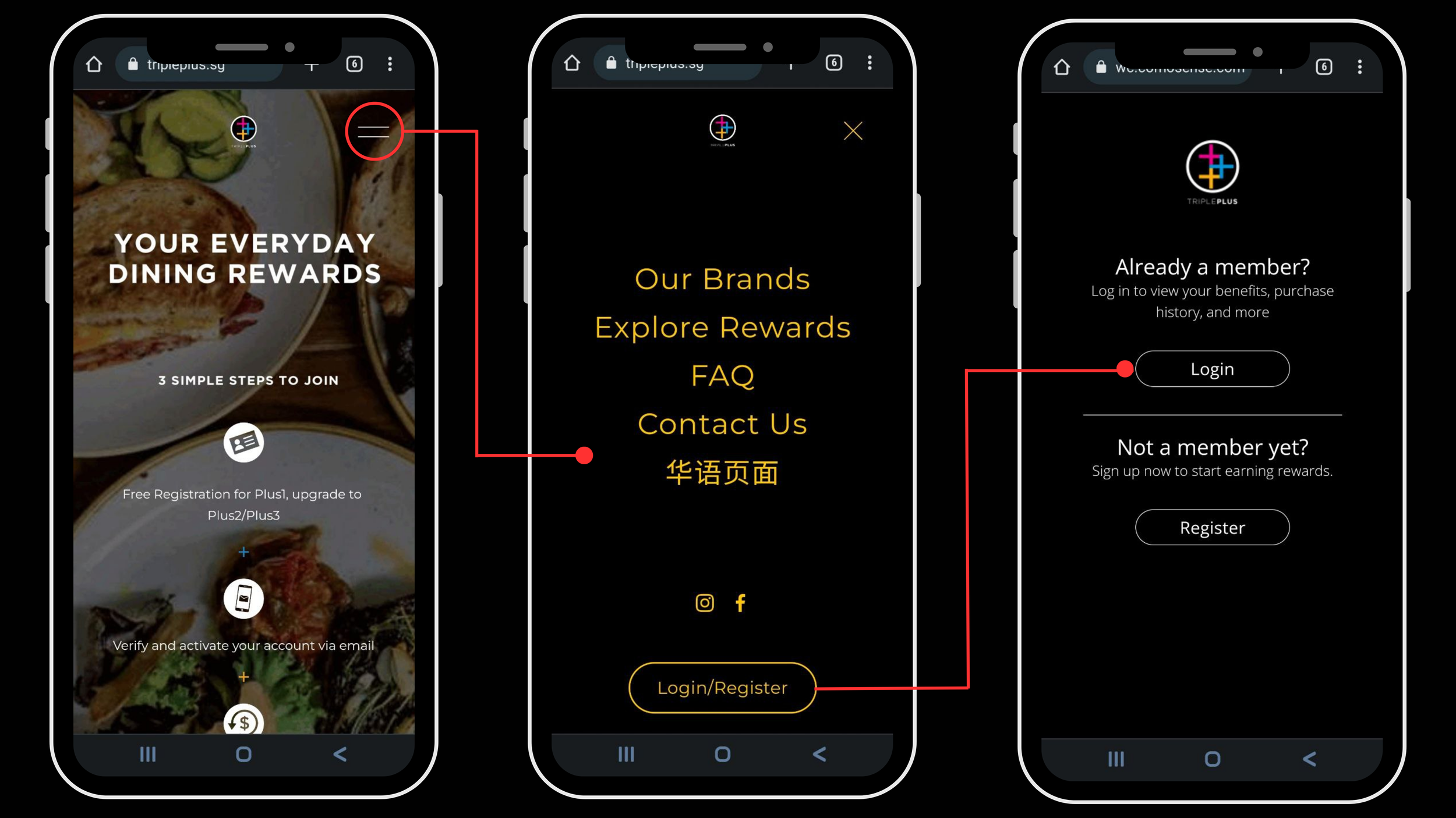 How To Login? — TriplePlus