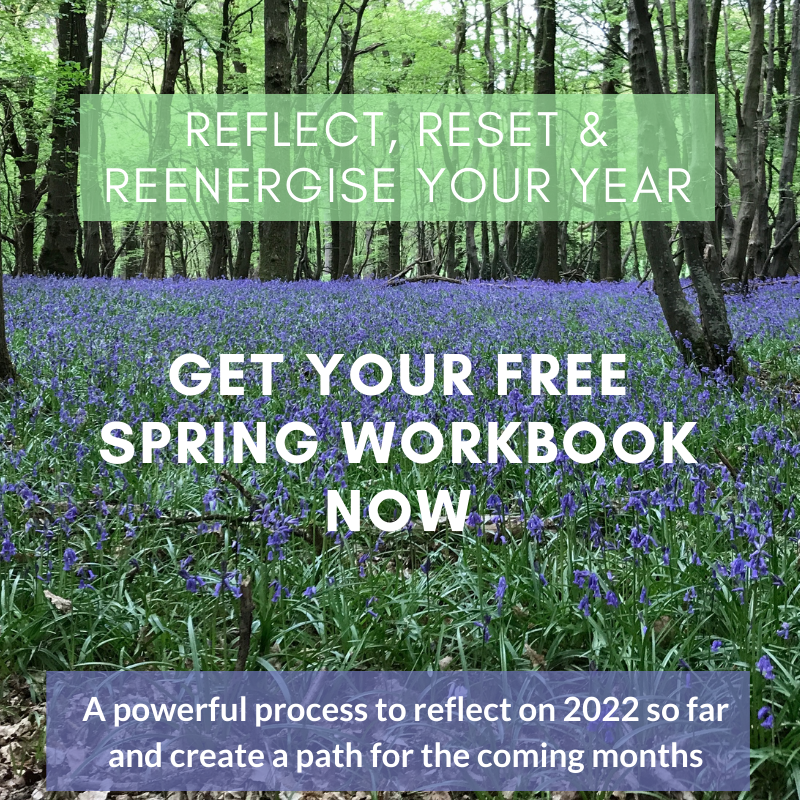 Free Spring Workbook — TIU DE HAAN
