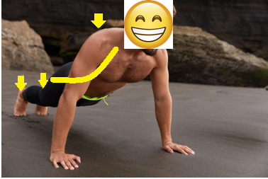 The Perfect Plank — Kim Burns DPT, OCS