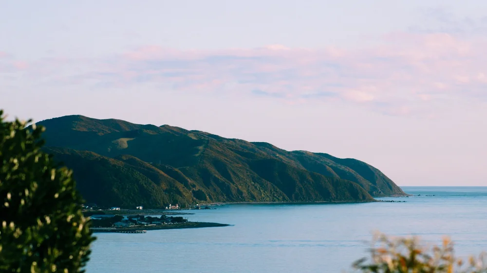 General 2 — Ngāti Toa Rangatira