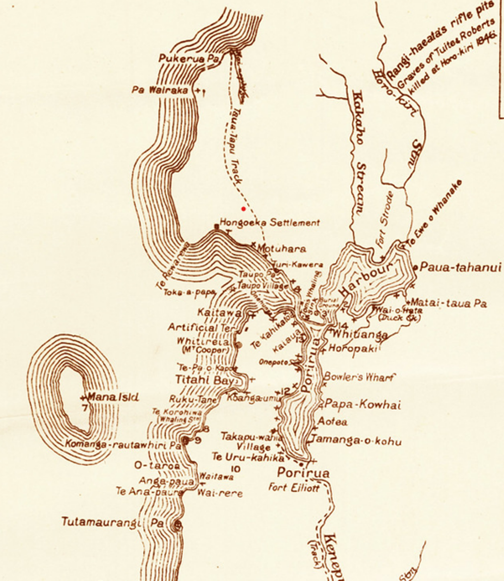 General 1 — Ngāti Toa Rangatira