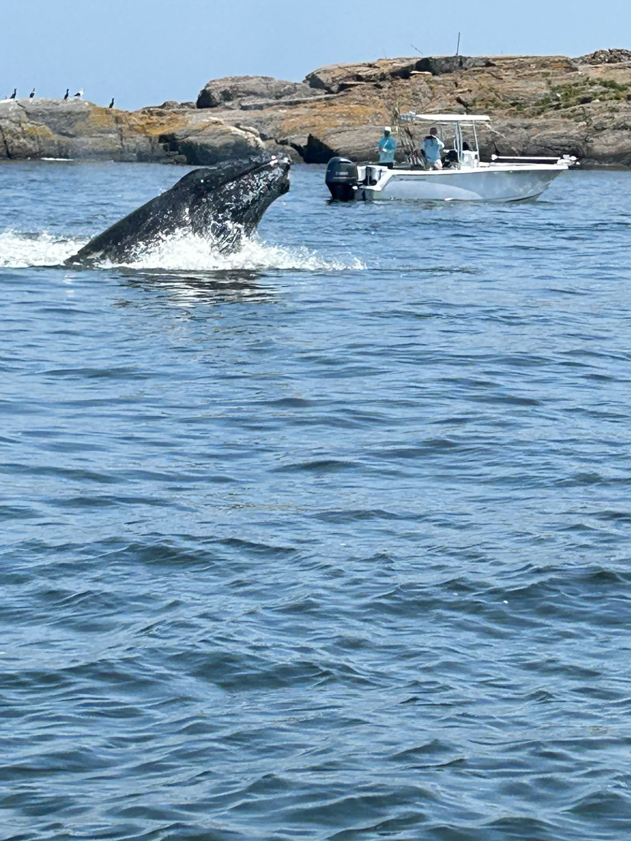 Things To Do In Bath Maine This Weekend Labor Day September 1st 4th