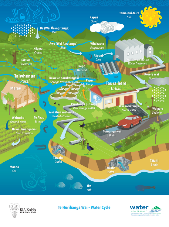 Te reo Māori for Catchments — Otago Catchment Community Inc