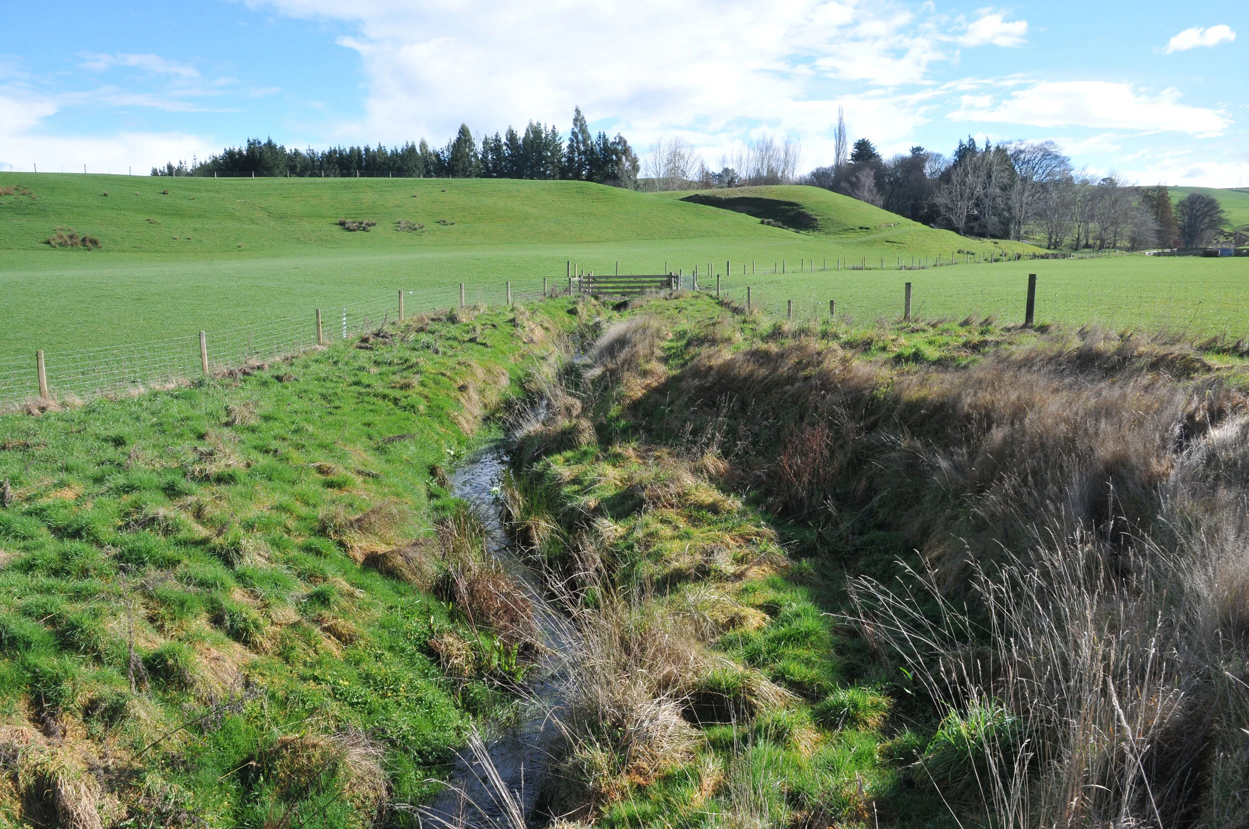 Otago Catchment Community Inc