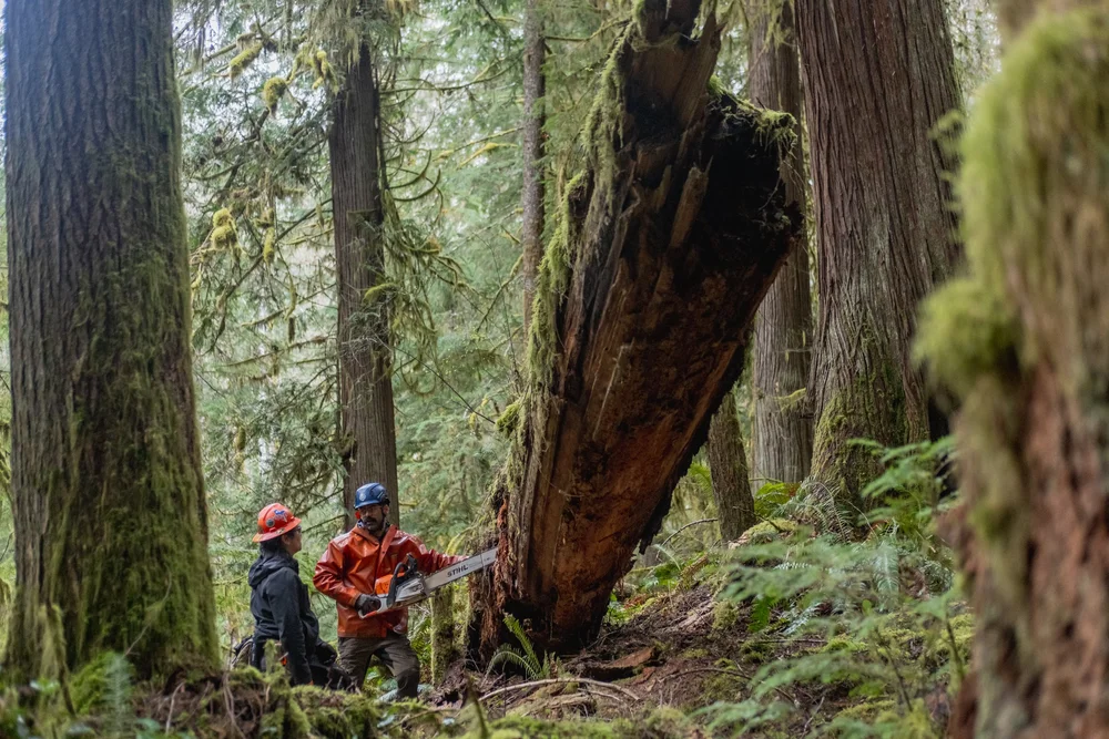 Recap: Cispus Chainsaw Collaborative — OROGENESIS | A new way on old ...
