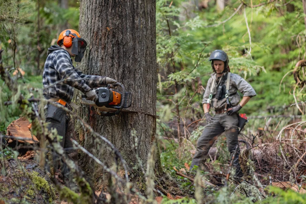 Recap: Cispus Chainsaw Collaborative — OROGENESIS | A new way on old ...