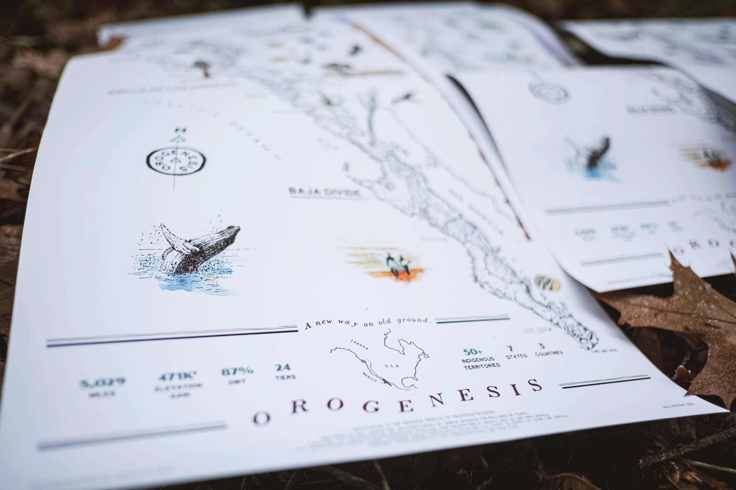 A glimpse at what’s to come—Claim your map now — OROGENESIS | A new way ...