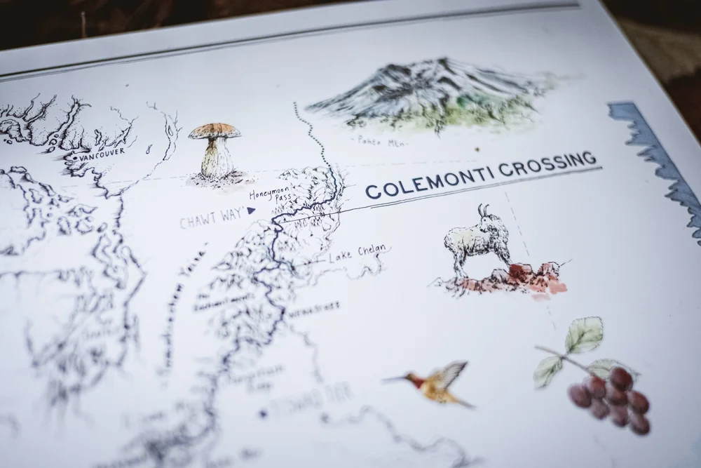 A glimpse at what’s to come—Claim your map now — OROGENESIS | A new way ...
