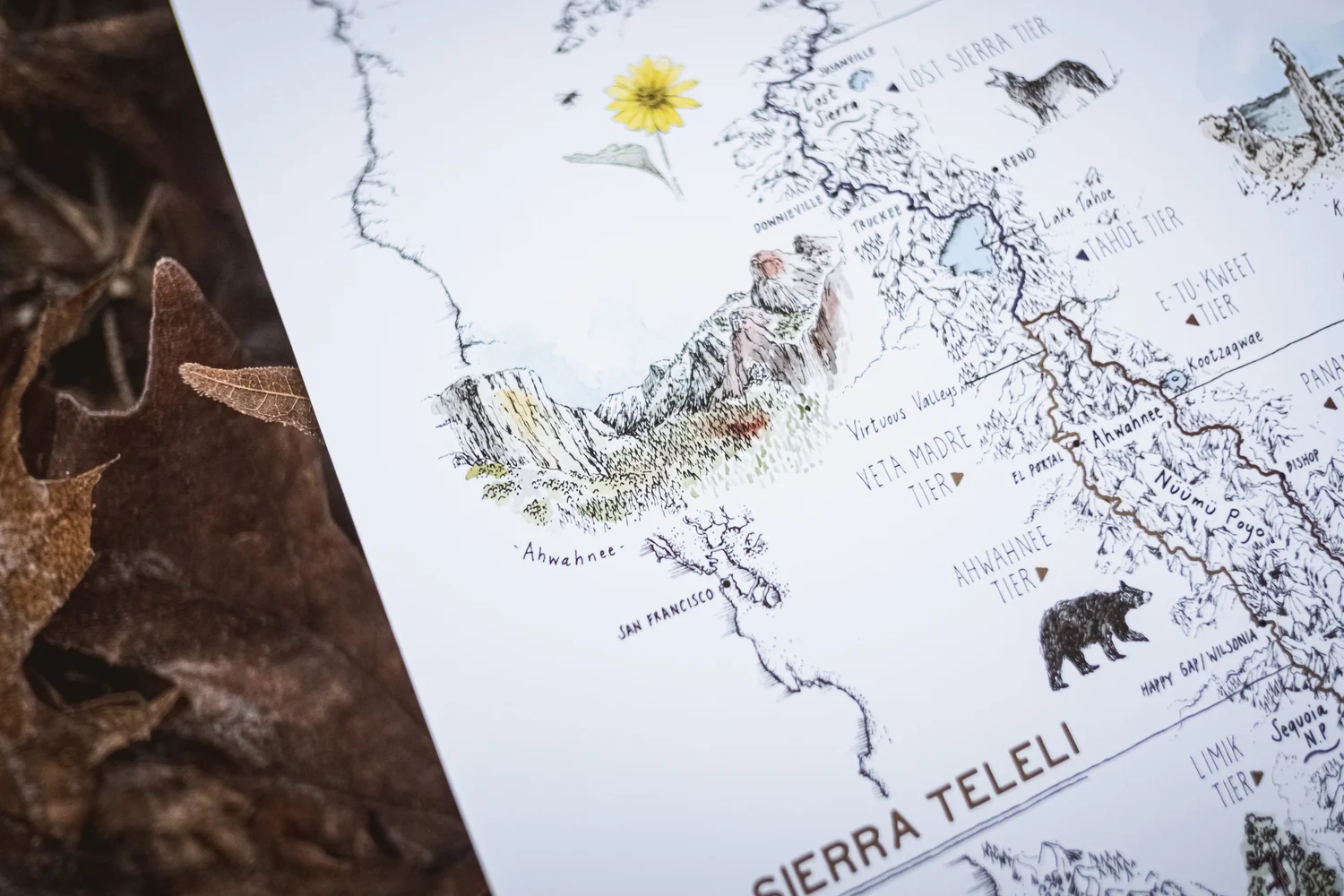 A glimpse at what’s to come—Claim your map now — OROGENESIS | A new way ...