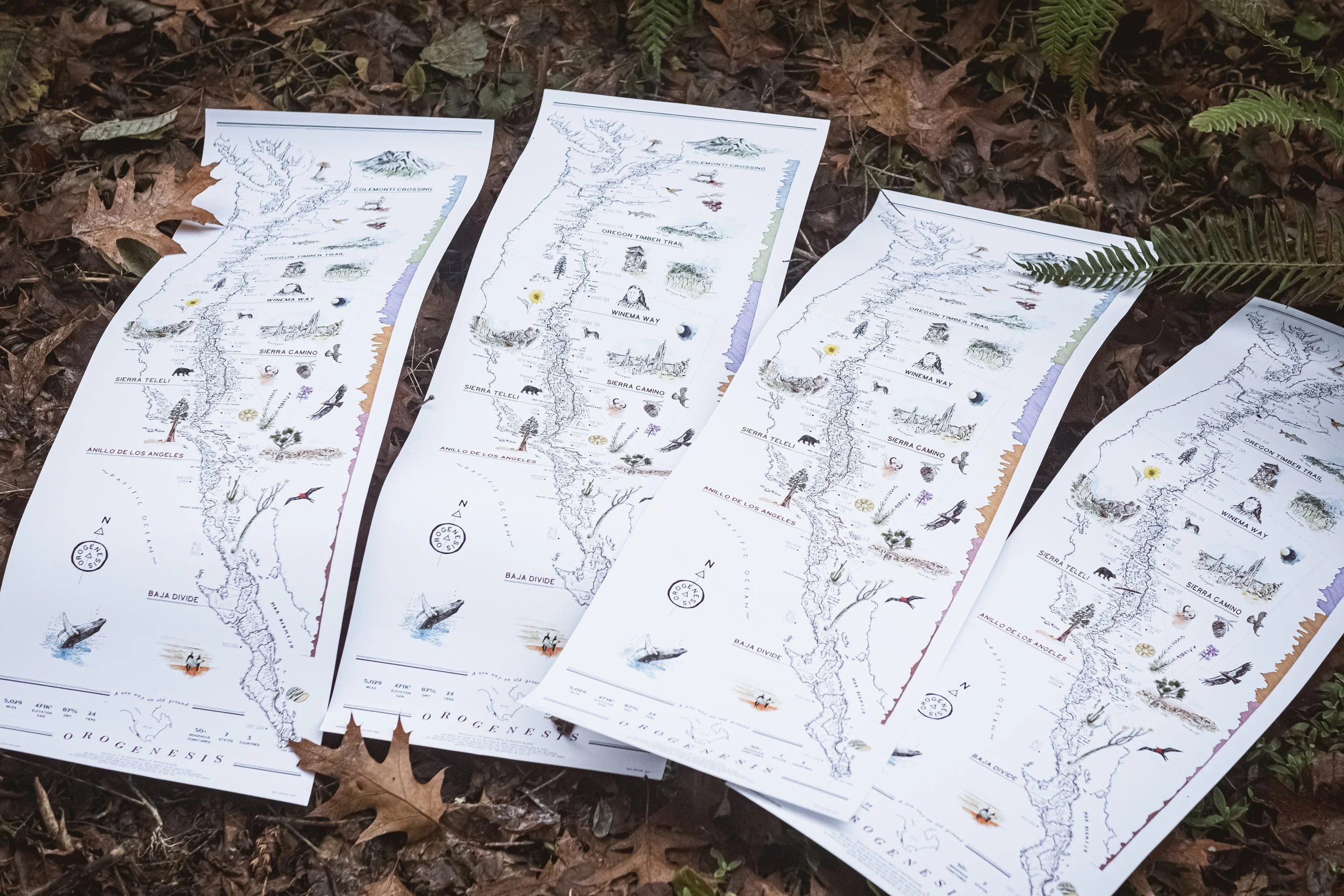 A glimpse at what’s to come—Claim your map now — OROGENESIS | A new way ...