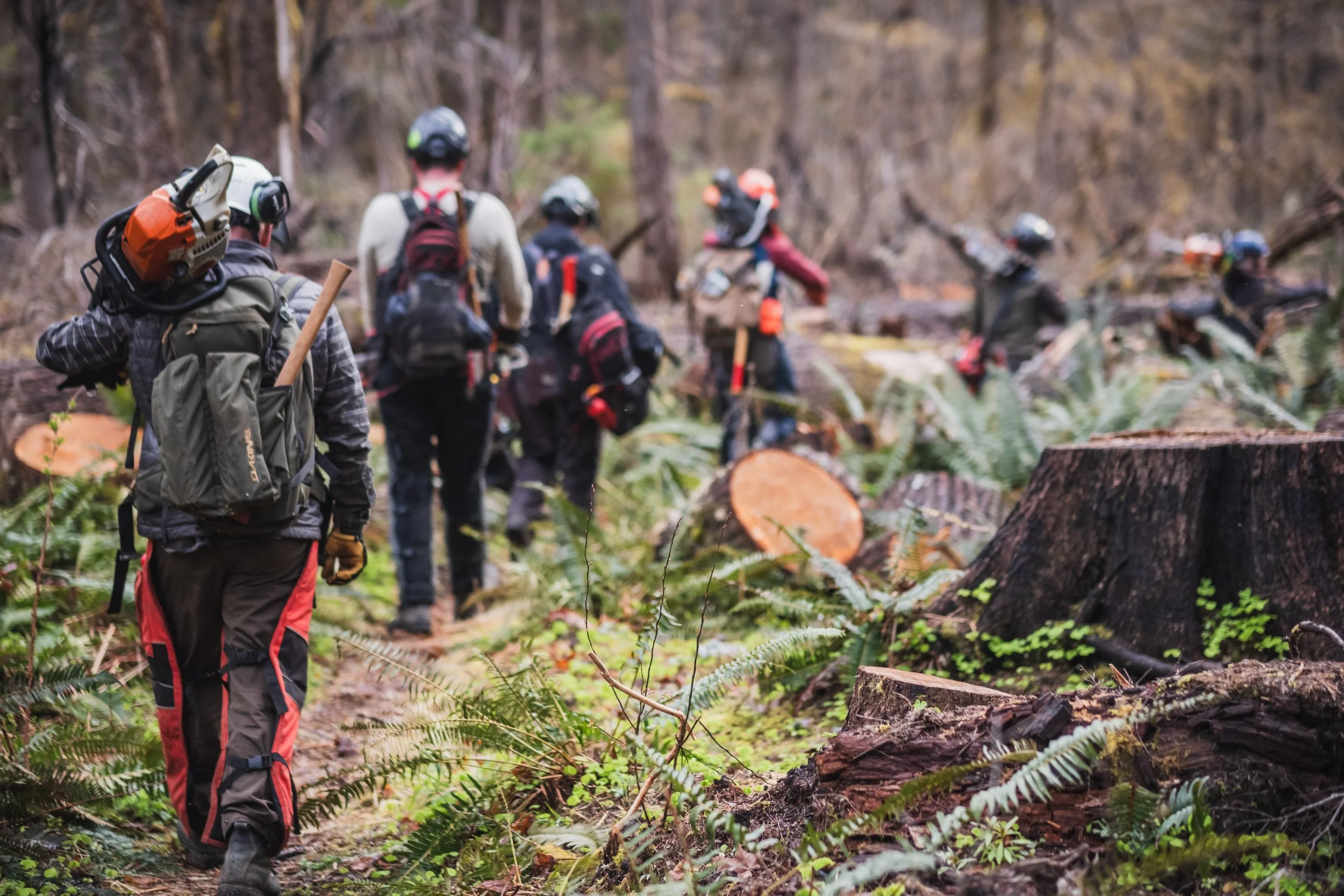 Recap: 4th Annual Cispus Collaborative Chainsaw Training — OROGENESIS ...