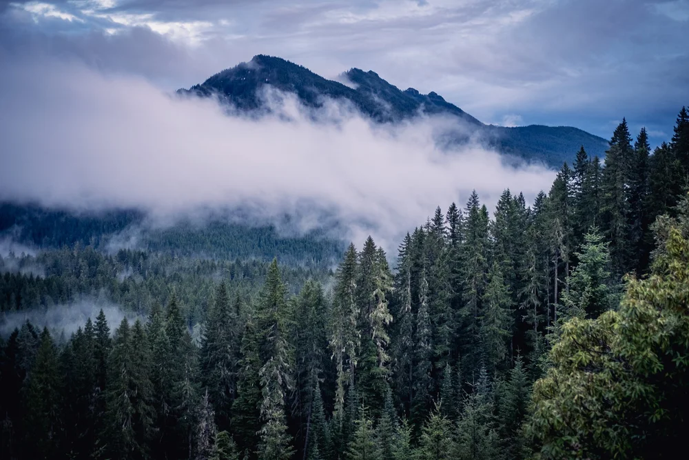 OROGENESIS & Resilient Headwaters - Old Cascade Crest New Trail ...