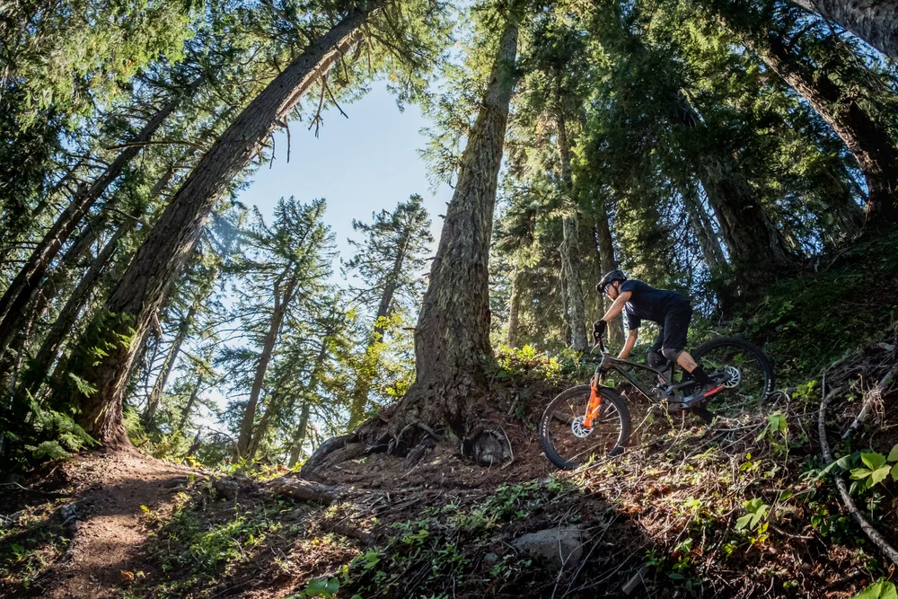 OROGENESIS & Resilient Headwaters - Old Cascade Crest New Trail ...