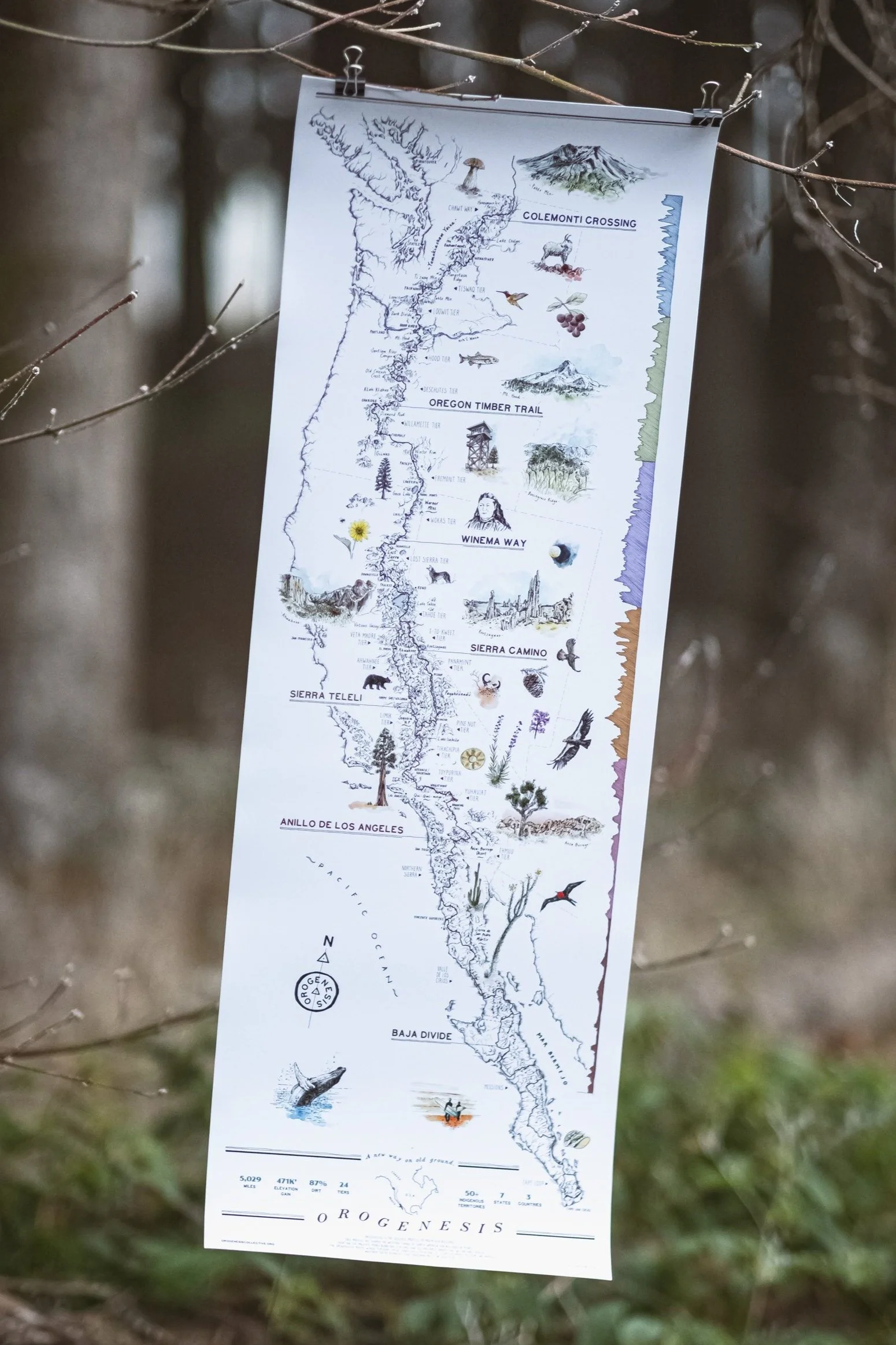 A glimpse at what’s to come—Claim your map now — OROGENESIS | A new way ...