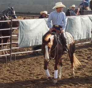 News — Brady Weaver Performance Horses