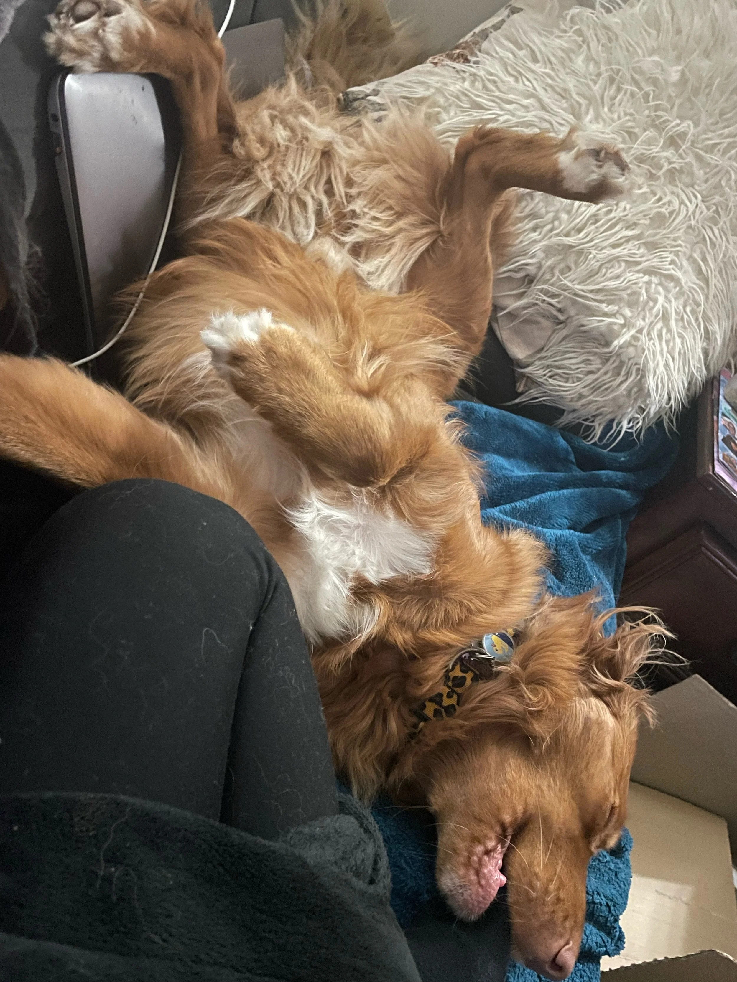 Inside, Outside, Upside Down Photo Competition - Winner — Nova Scotia ...