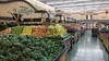 Payless Foods