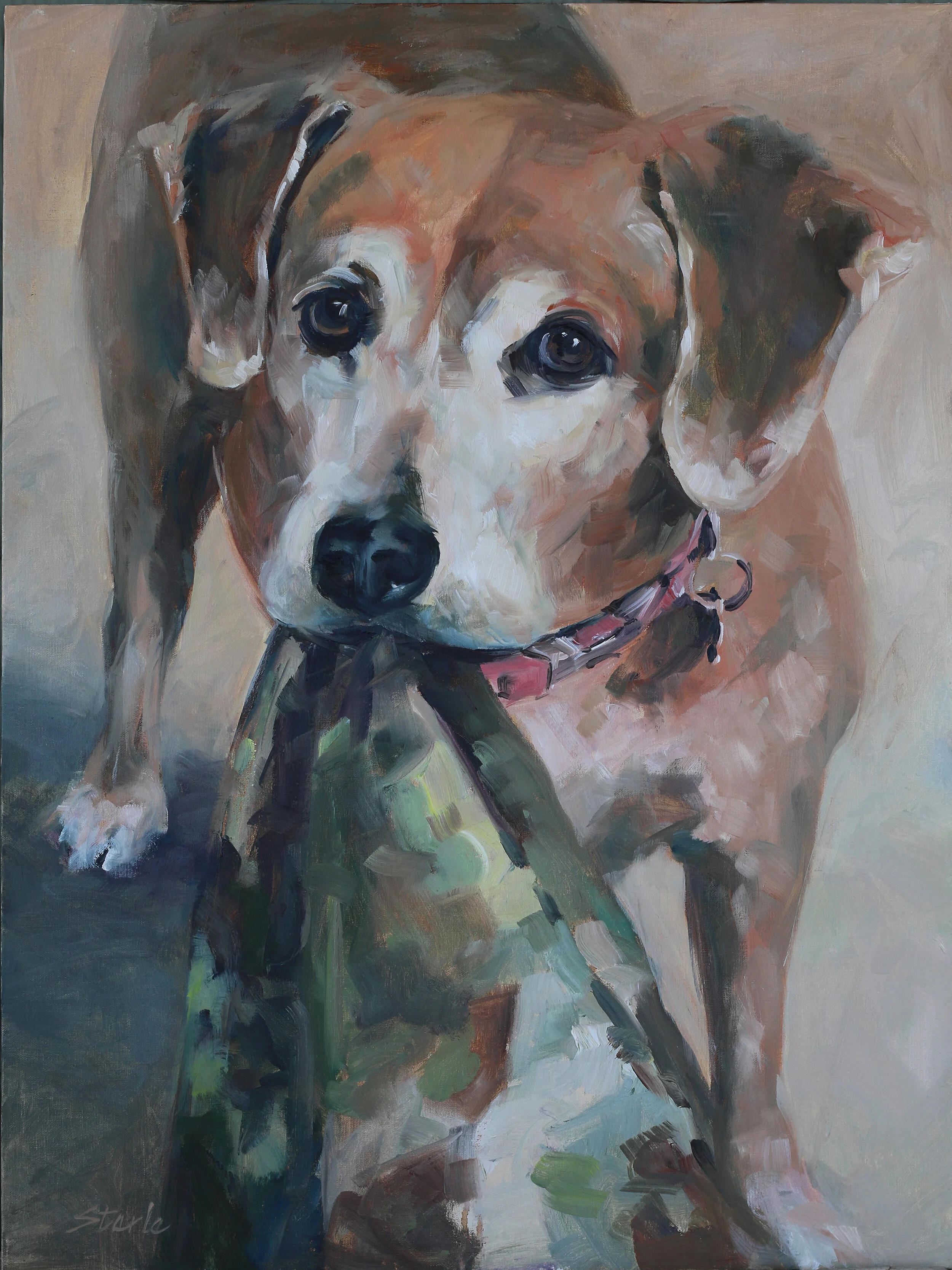 Commission a Portrait — Susan Sterle