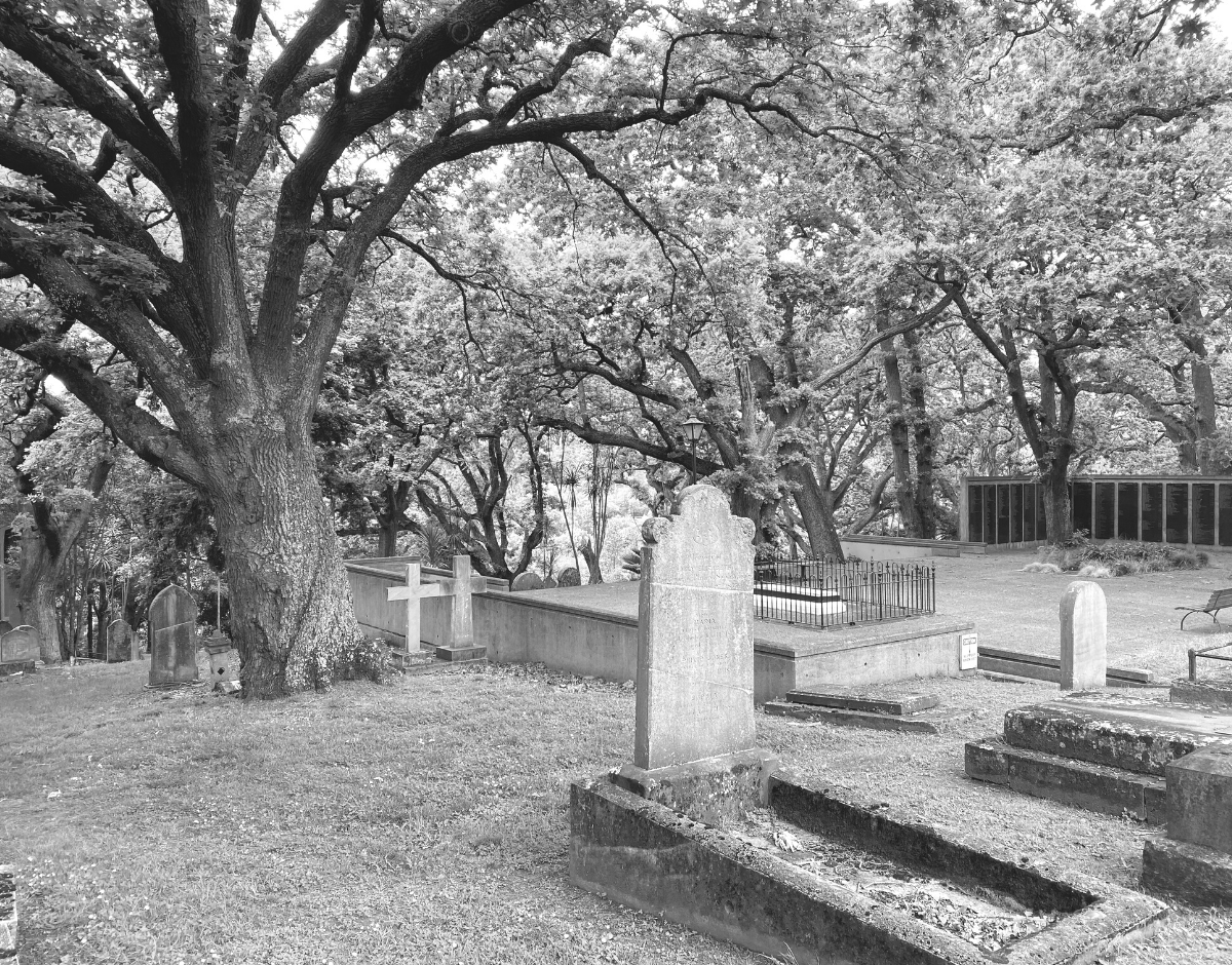 Heritage Walk - Auckland Domain — the village square trust