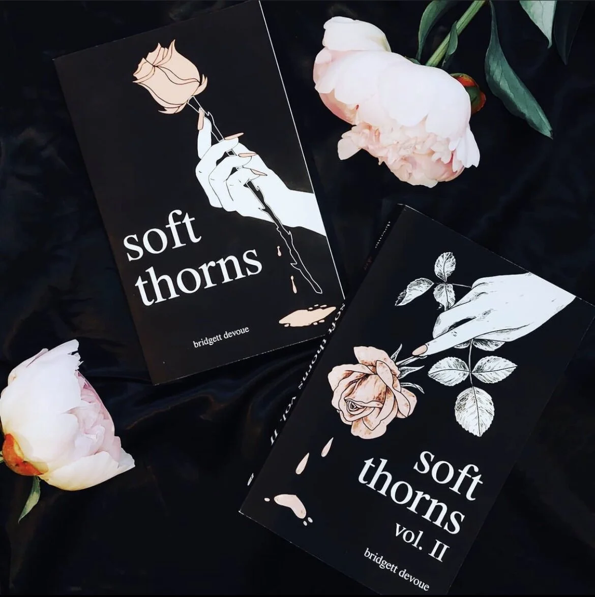 Soft thorns book - vserait