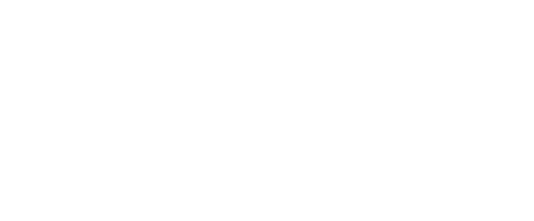 Global Flight Support — Meet ASGVEC
