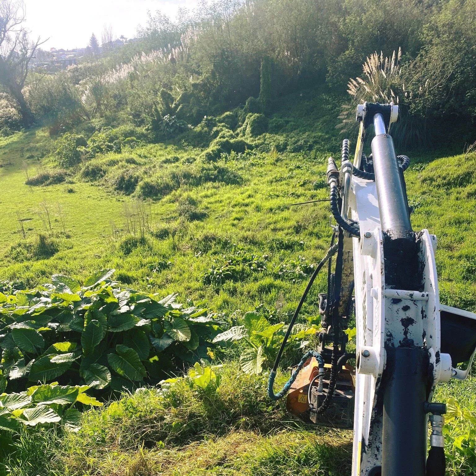 Digger Co. | Machinery and Operator Hire 7 Days a week | Bay of Plenty