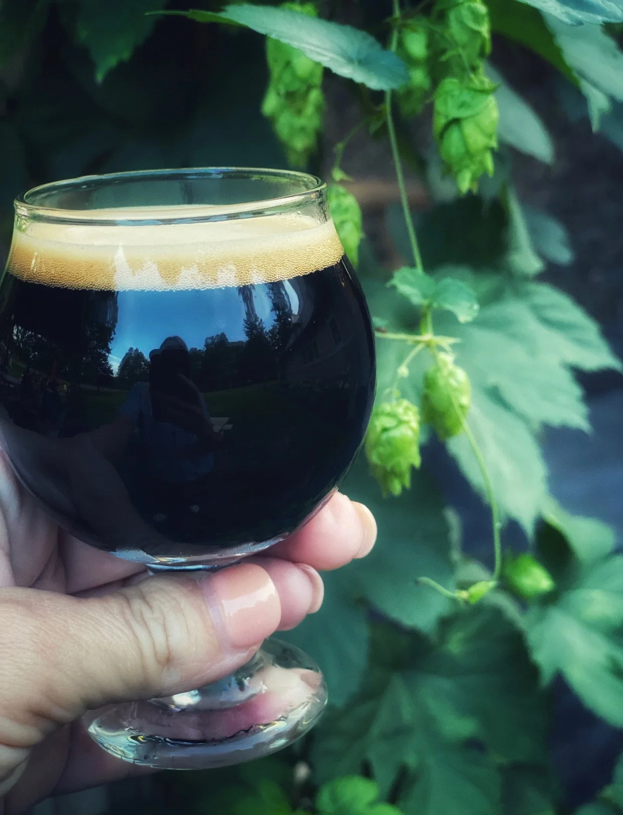 Beer On Tap — Brewery Ardennes Taproom & Kitchen