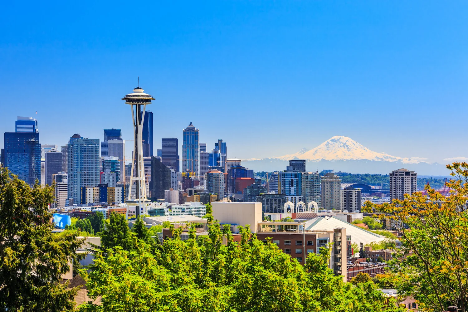 Seattle Bankruptcy Attorneys | Wenokur Riordan PLLC