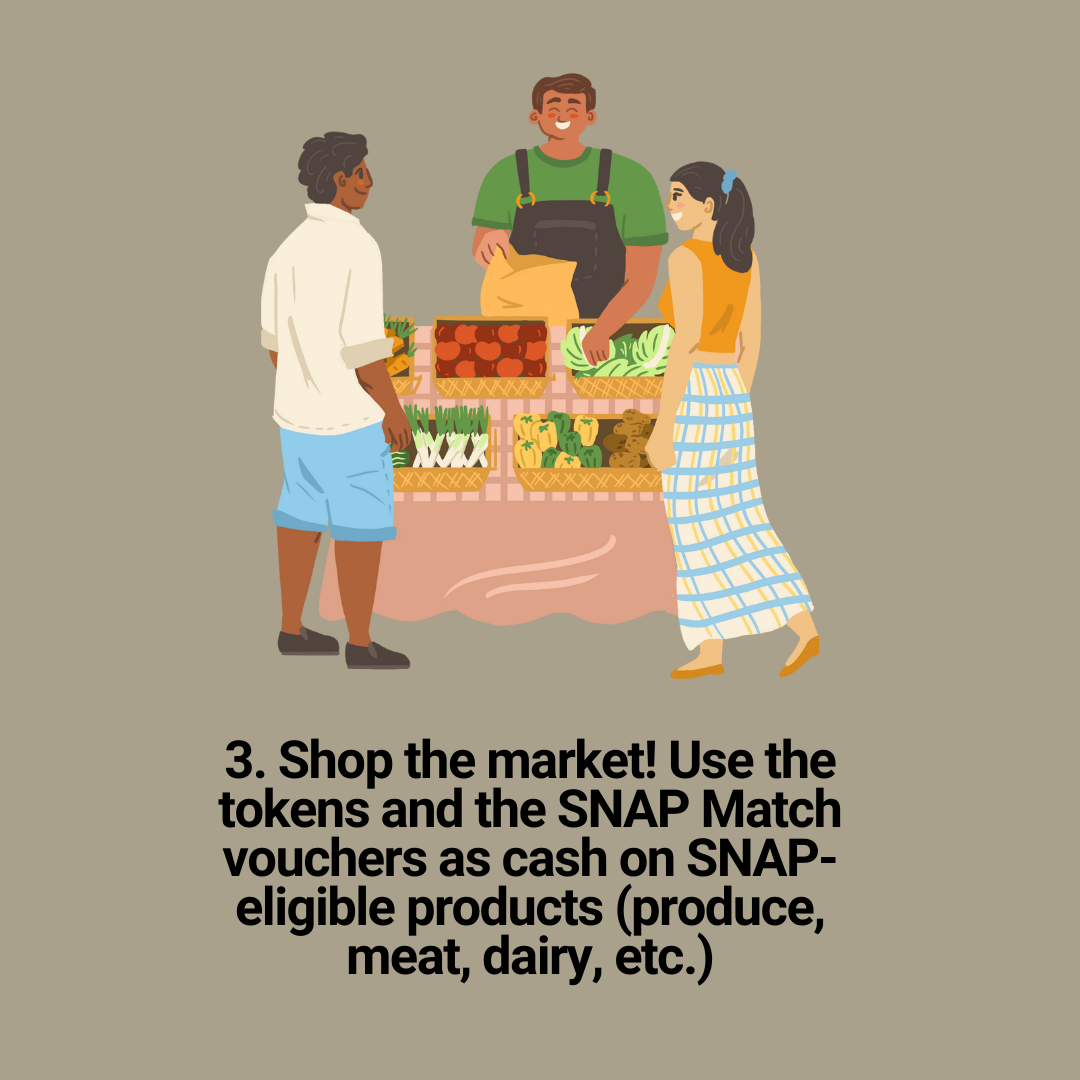 SNAP and EBT Programs — OTSEGO 2000