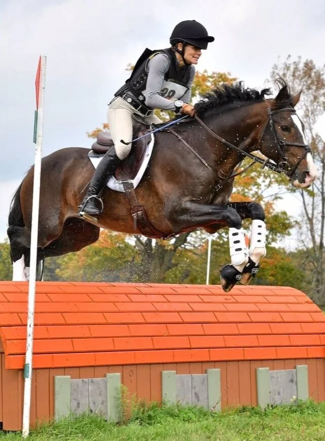 Troy Equine Services