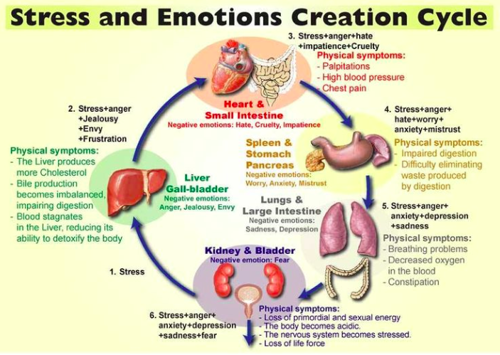 Hormones and your Emotions: Which one is in Control? — Dr. Sonya Jensen