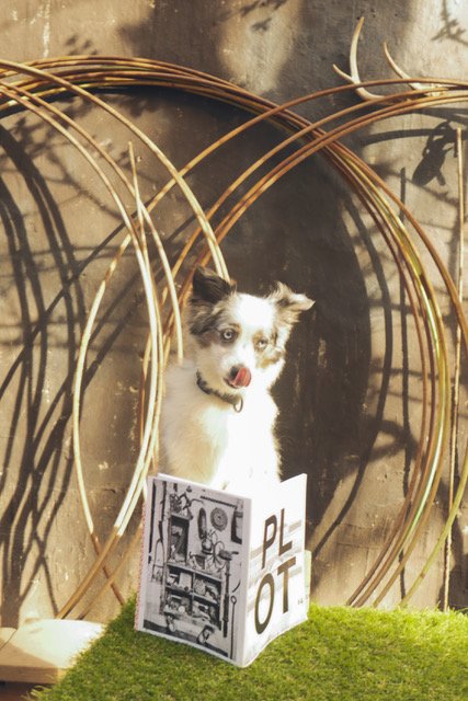 Allied/LPV returns to Printed Matter’s New York Art Book Fair — Allied Productions, Inc.