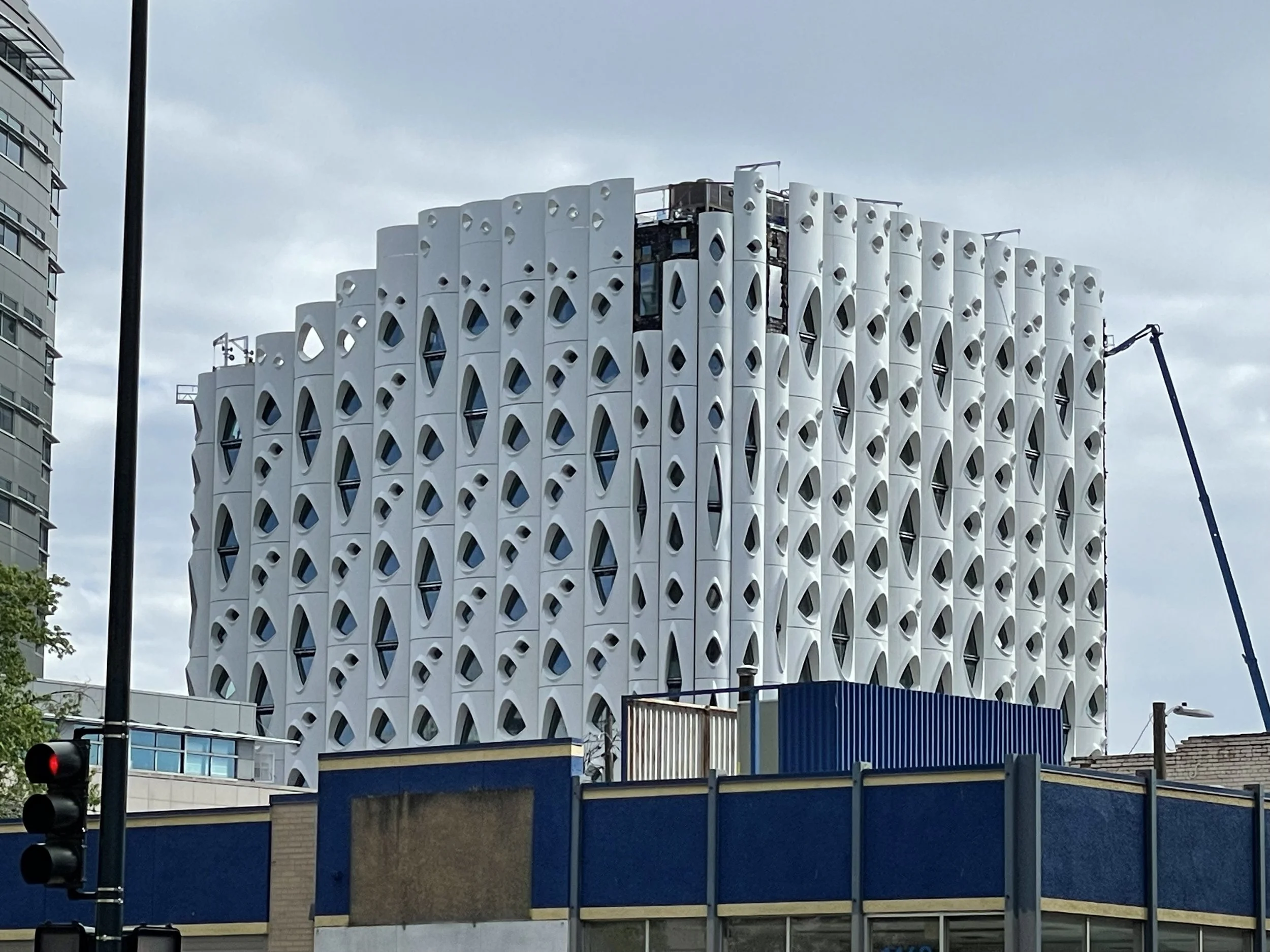 Populus — Studio NYL