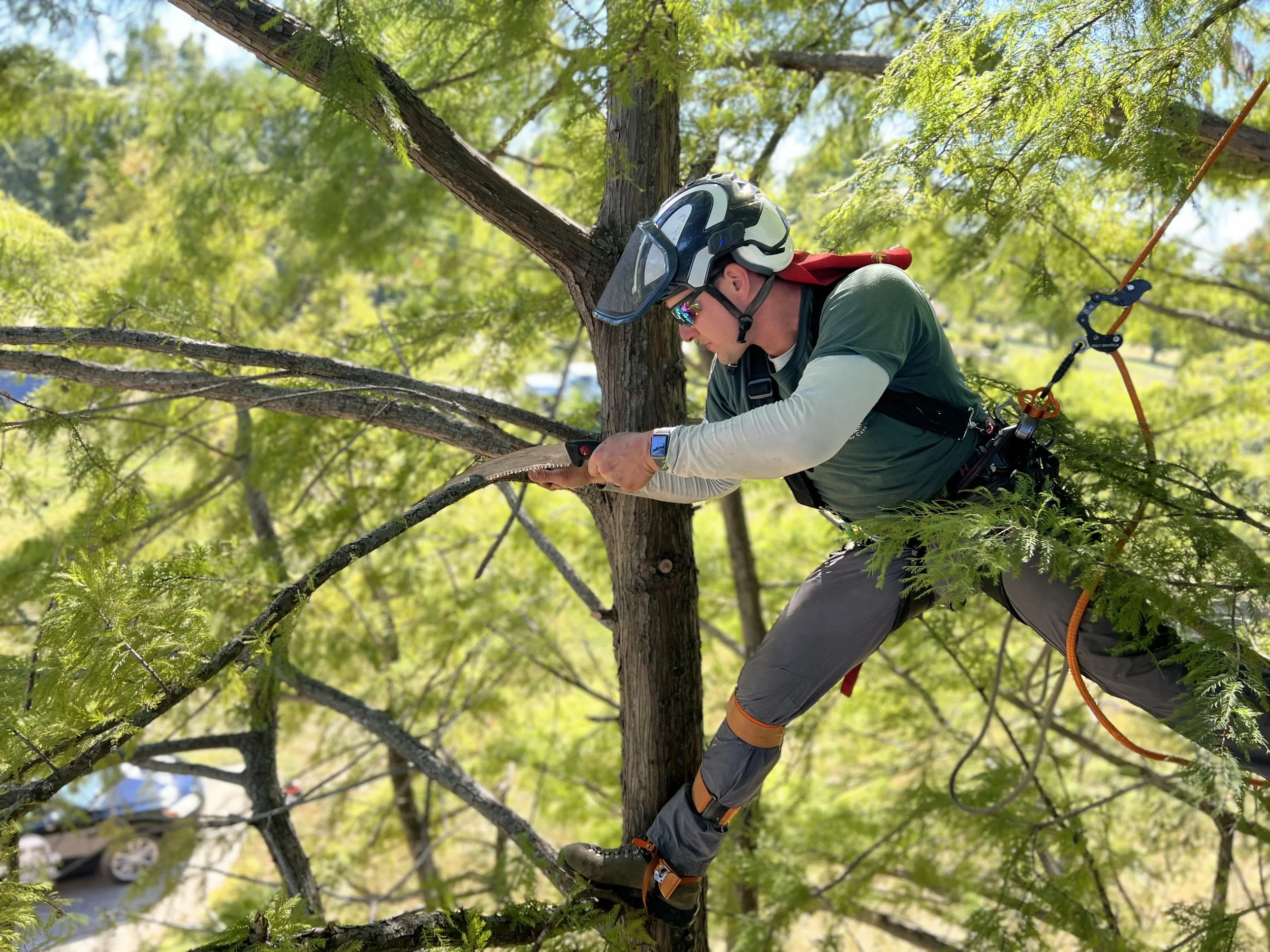 Rooted Arbor Care