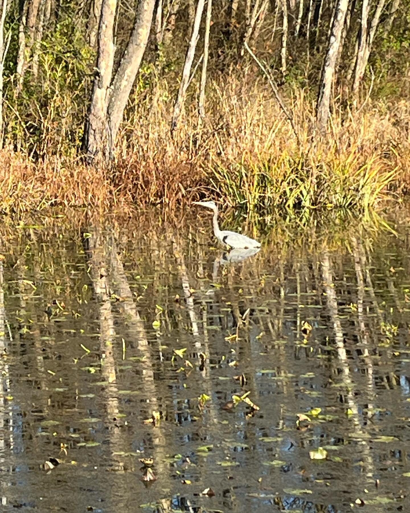 Contact — Cathy Manus-Gray Creative Studio